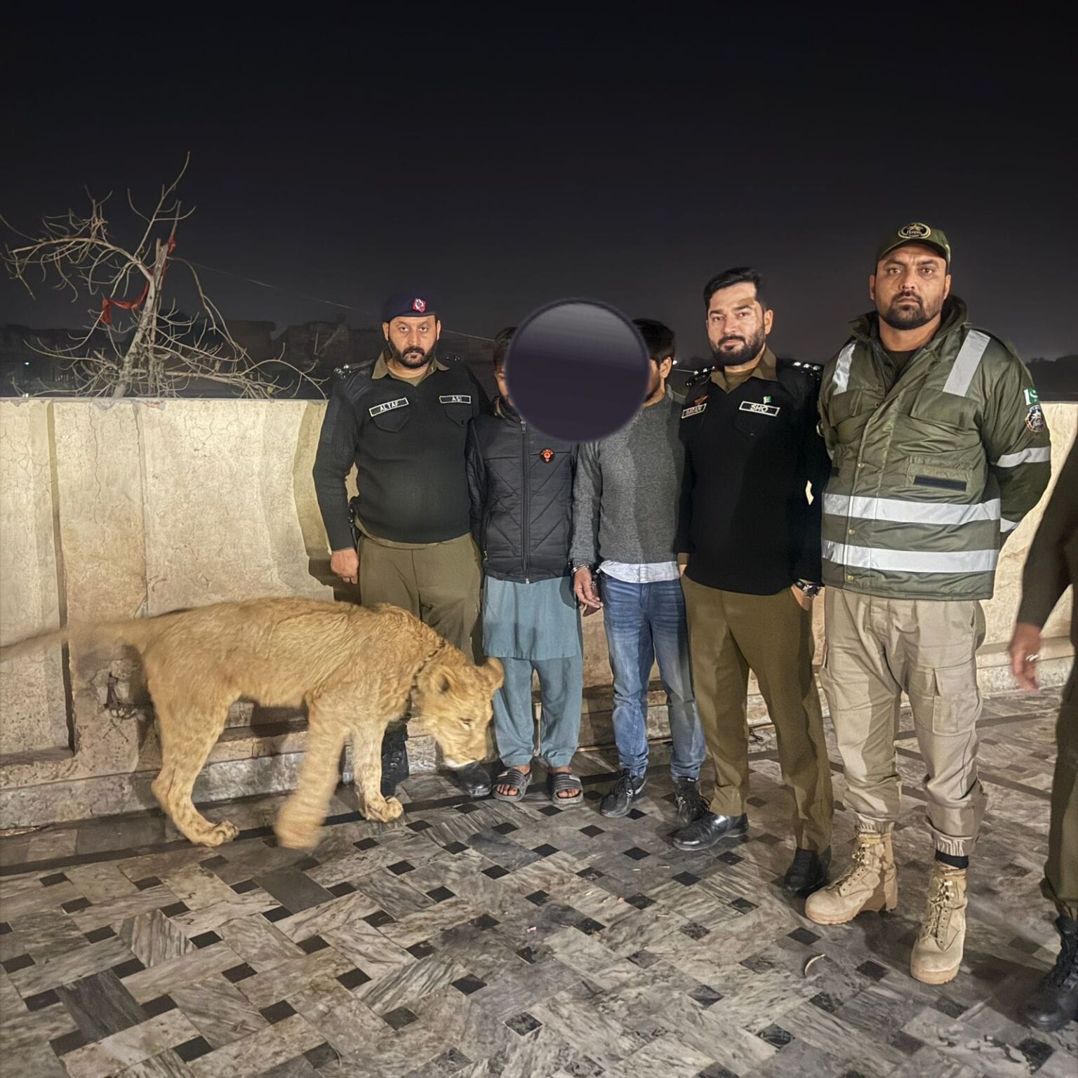 Pakistani Disability Activist Tanzila Khan Faces Discrimination in ...