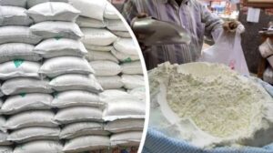 Flour Prices Surge Across Pakistan, 20kg Bag Sees Sharp Weekly Increase ...